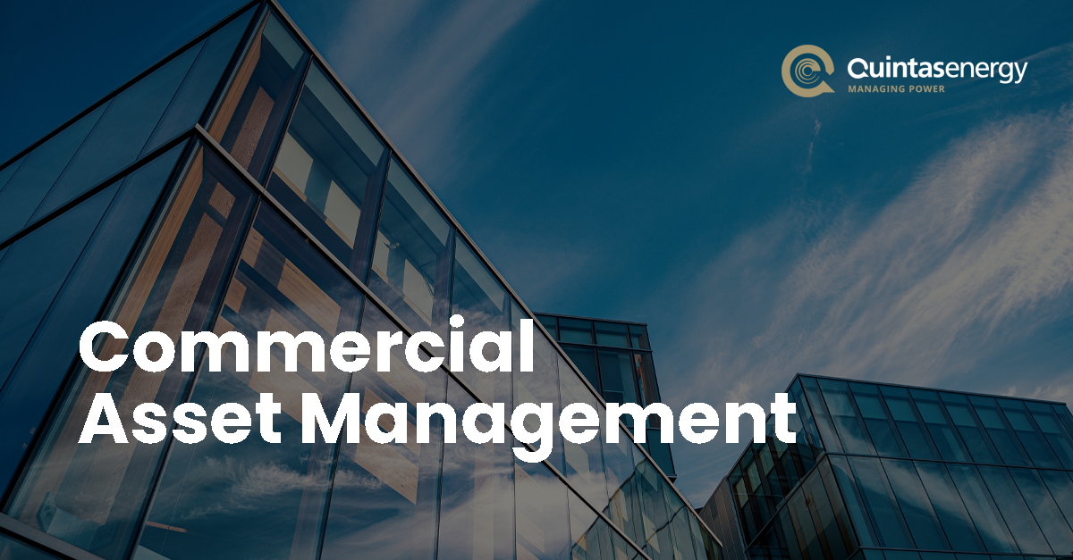 Commercial Asset Management | Quintas Energy