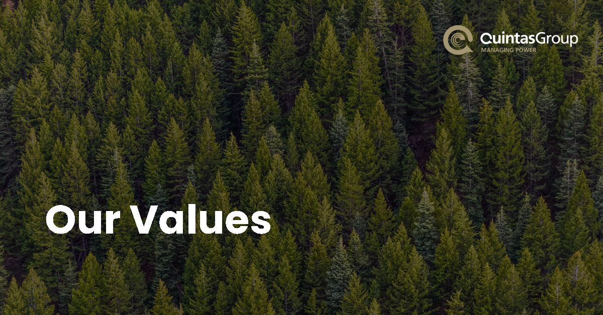 Our Values | Quintas Group