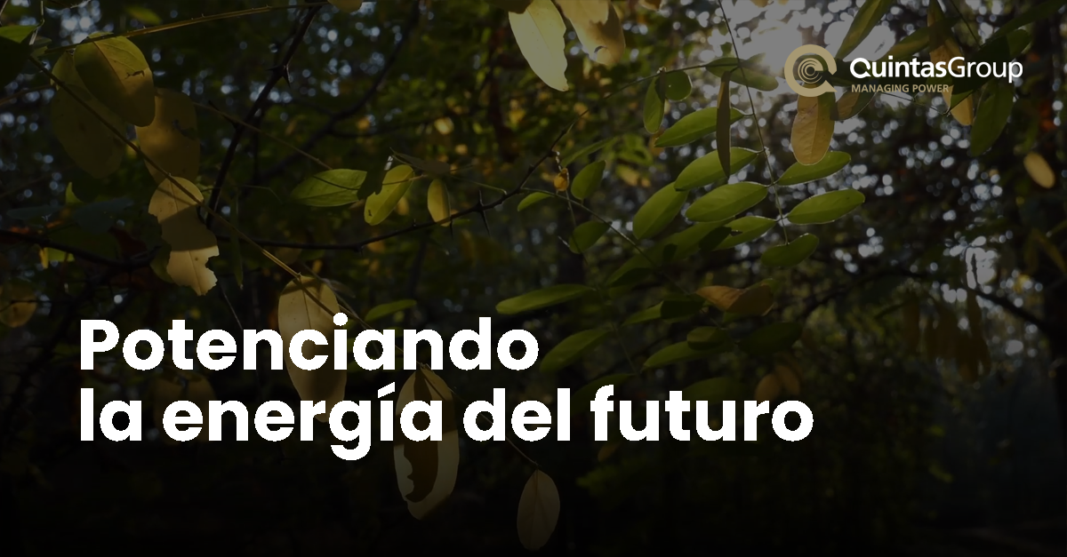 Sobre nosotros | Quintas Group